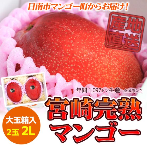 【発売日：2026年06月01日】宮崎完熟マンゴーは糖度15度以上のものばかり。糖度20度以上のマンゴーも続出しています！毎年より良いマンゴーを栽培するための研究に余念がなく、今年も最高のマンゴーが続々生まれています！