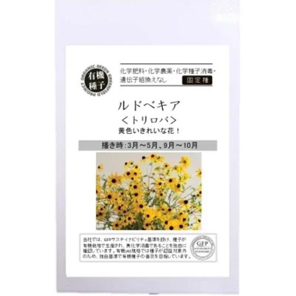 ☆　追跡可能メール便「ゆうパケット」の注意点　☆＊「ゆうパケット」は、追跡サービスがついているメール便です。＊ポスト投函です。配達日、配達時間等のご指定ができません。＊お支払い方法で代金引換をご利用いただけません。＊厚さ３ｃｍを越える商品を...