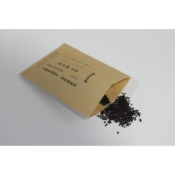 長野県野沢温泉村の野沢菜で固定種です。メーカー：鶴頸種苗流通プロモーションメール便は、追跡可能メール便「ゆうパケット」での発送となります。