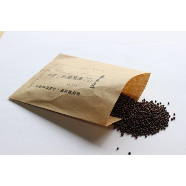 東京都江戸川区の小松菜で固定種です。メーカー：鶴頸種苗流通プロモーションメール便は、追跡可能メール便「ゆうパケット」での発送となります。