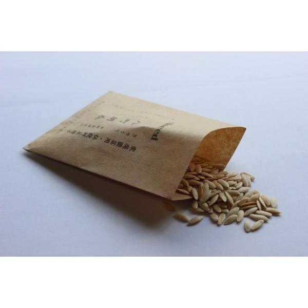 長野県在来種のきゅうりで固定種です。メーカー：鶴頸種苗流通プロモーションメール便は、追跡可能メール便「ゆうパケット」での発送となります。