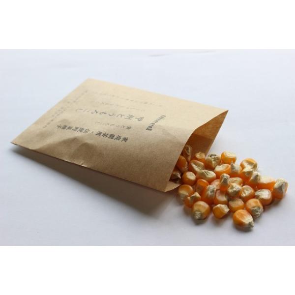 山梨県在来種のとうもろこしで固定種です。メーカー：鶴頸種苗流通プロモーションメール便は、追跡可能メール便「ゆうパケット」での発送となります。