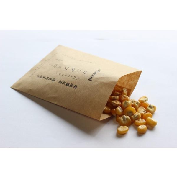 北海道在来種のとうもろこしで固定種です。メーカー：鶴頸種苗流通プロモーションメール便は、追跡可能メール便「ゆうパケット」での発送となります。