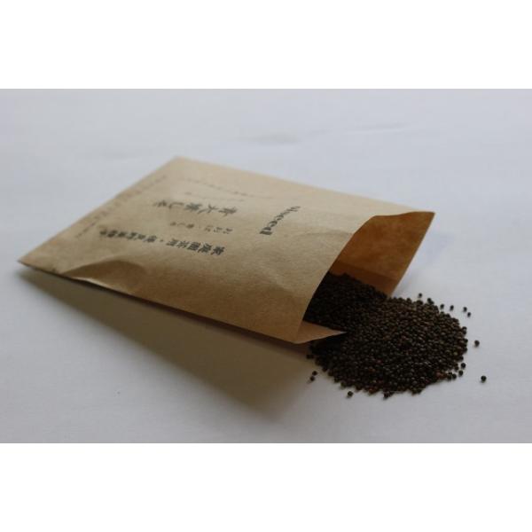 家庭園芸用固定種のしそで固定種です。メーカー：鶴頸種苗流通プロモーションメール便は、追跡可能メール便「ゆうパケット」での発送となります。