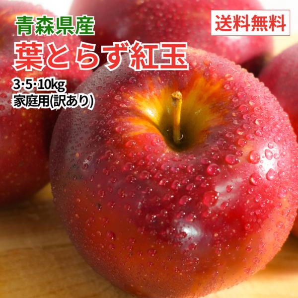 ＼本場・青森県より産地直送！濃厚な甘酸っぱさが自慢の「紅玉」／数あるりんごの中でも、根強い人気を誇る「紅玉（こうぎょく）」をお届けします。太陽の光をたっぷり浴びて育つ「葉とらず栽培」にこだわり、果実本来のコクと香りを引き出しました。■ 訳あ...