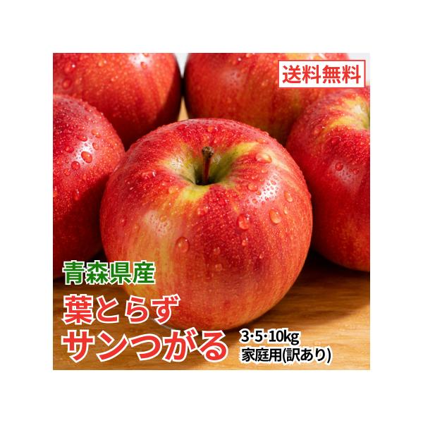 【発売日：2026年09月04日】青森県から産地直送！あえて葉を摘まず太陽の栄養を限界まで蓄えさせた「葉とらずサンつがる」葉っぱが光合成で作った糖分（栄養）が果実に注ぎ込まれているため、通常のサンつがる以上に濃密な甘みとたっぷりの果汁が味わ...