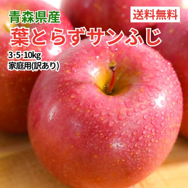 通常は色を良くするために葉を摘みますが、あえて葉を残して育てることで、果実に栄養をしっかり届けました。葉影による色ムラはありますが、その分濃厚な味わいです。※蜜入り・糖度の保証はしておりません。「見た目よりも、自然に近い状態で育った味を楽し...
