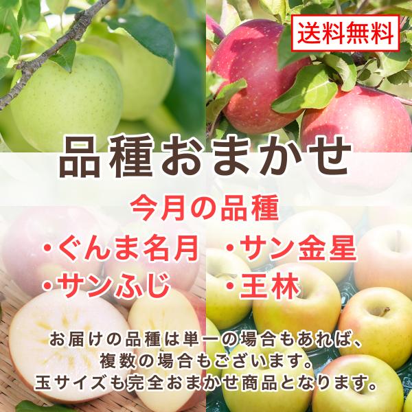 ＼その時々の在庫から、最適な品種を選別してお届けします／青森県産の豊富なラインナップの中から、発送のタイミングで最も状態の良い品種をスタッフが厳選してお届けいたします。特定の品種にこだわらず、青森のりんごをたっぷり楽しみたい方にぴったりのセ...