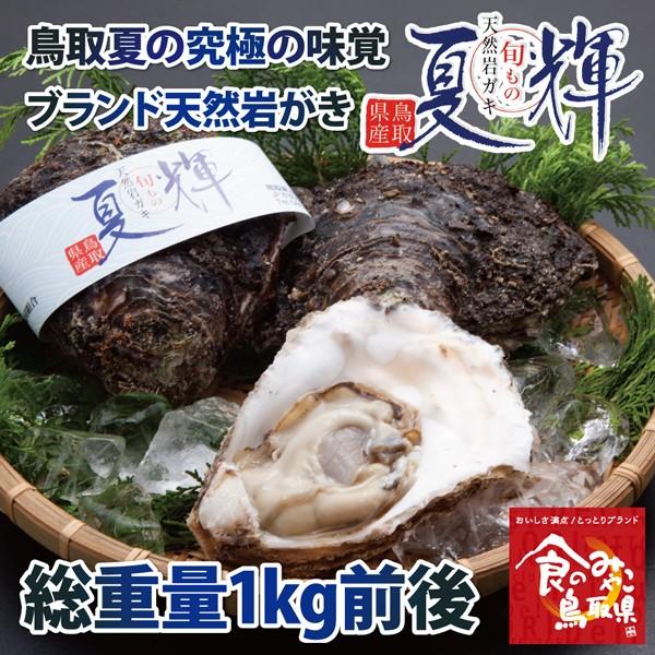 鳥取県産天然岩がき「夏輝」夏輝（なつき）は鳥取夏の究極の味覚とし県全体で力を入れており殻長13センチ以上の牡蠣はブランドラベルを巻きPR活動しています。本ページご紹介の夏輝は全てブランドラベル付きです。お中元や贈り物にも安心して御利用頂けま...