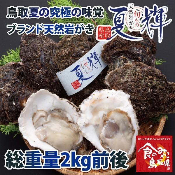 鳥取県産天然岩がき「夏輝」夏輝（なつき）は鳥取夏の究極の味覚とし県全体で力を入れており殻長13センチ以上の牡蠣はブランドラベルを巻きPR活動しています。本ページご紹介の夏輝は全てブランドラベル付きですのでお中元、贈答などにも御利用いただけま...
