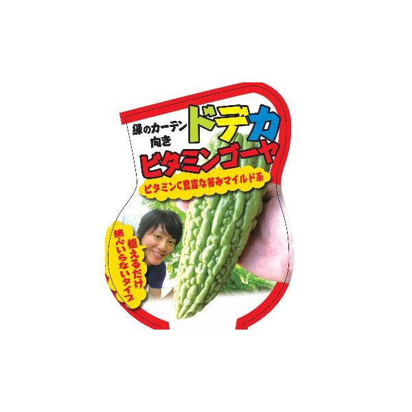 緑のベジカーテン：良く伸びる！摘心いらずゴーヤ！ドデカ　ビタミンゴーヤ　10.5センチポット苗　2ポットセット■特徴初心者向き！植えるだけで摘心いらず！苦味もマイルド。■育て方風通しがよく日当たりのよい場所を好みます。プランターで栽培する場...