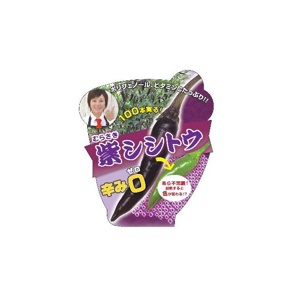 ---------------------------------------■ご注文時のご注意事項■・4月中旬以降発送となりますので、発送時期の異なる他の商品との同梱はできません。・他の商品と合わせてご注文を頂いた場合は、別途送料等が必要...