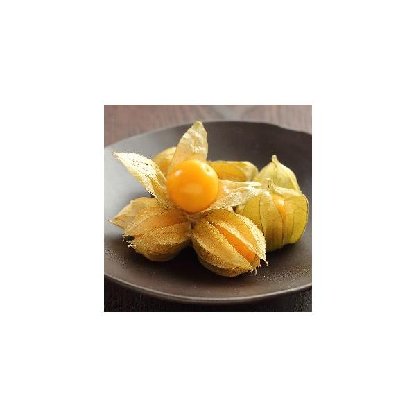 らくちん野菜：フルーツホオズキの最高峰！食用ほおずき　プチあまっ＊（ゴールドプッチーナから名前を変更しました！）９センチポット苗　2ポットセット■特徴・まるでマンゴーのような味と香り、食感は青りんごの様です。糖度も12度〜15度と甘い西瓜く...