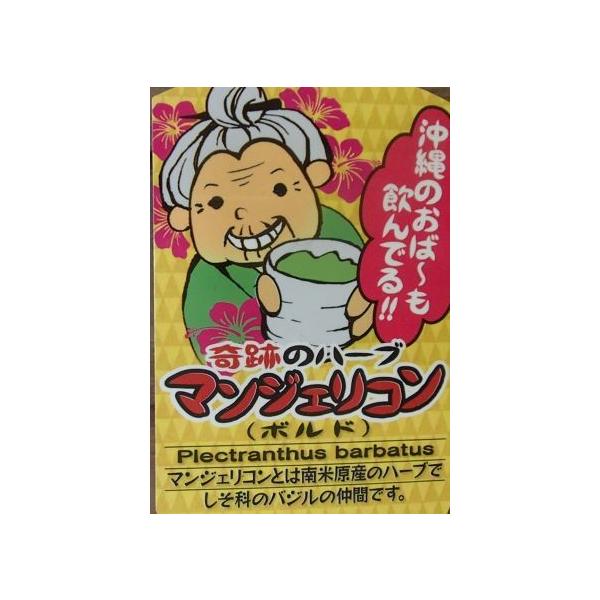 マンジェリコン　ボルド３寸ポット植え苗　シソ科　非耐寒性多年草（１年草扱い）マンジェリコンとは南米原産のハーブでしそ科のバジルの仲間です。管理の方法日当たりとは排水のよい場所で栽培する。水やりは土の表面が乾いたらたっぷり与える。