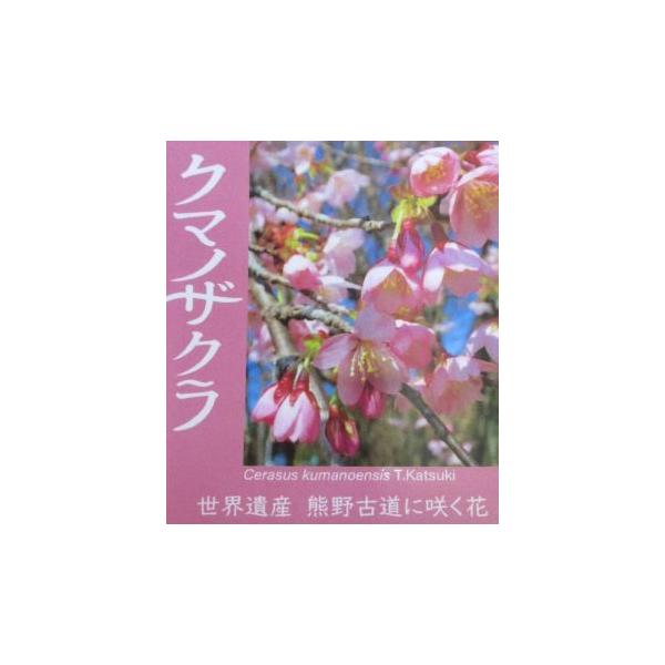 クマノザクラ　熊野桜規格：5号ポット植え苗、実生苗、樹高：80〜100センチ程度クマノザクラは紀伊半島南部に自生している野生のサクラです。 日本に広く分布するヤマザクラと同種とされていましたが、森林総合研究所の勝木博士らによる調査の結果、未...
