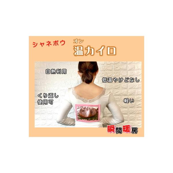 【発売日：2021年10月22日】日本遮熱の「トップヒートバリアー」から冬の寒さ対策に軽くて暖かい商品が登場！！服の上から貼るだけで自熱利用でずっと温かい。自分の熱なので低温やけどの心配も無し。粘着が弱くなりましたら市販の両面テープをお使い...