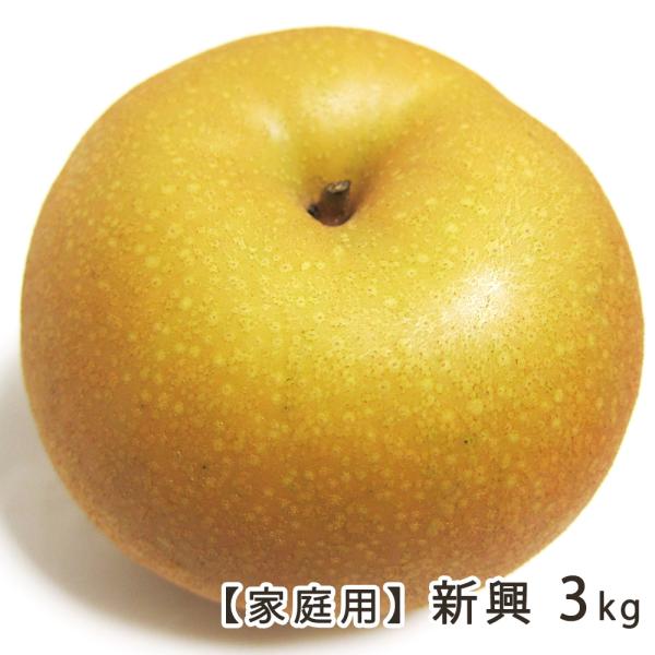 【発売日：2026年10月28日】果樹栽培で有名な白根地域、中でも知る人ぞ知るヤマヨ果樹園（Le Verger Yamayo）の毎年大好評、日本梨！各品種を旬の時期に味わえます！果樹栽培で有名な新潟県白根地域。中でも知る人ぞ知るヤマヨ果樹園...
