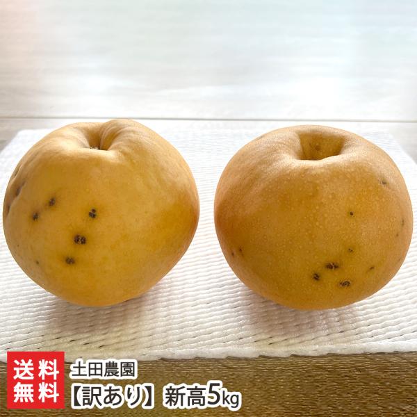 【発売日：2026年10月07日】梨専門の農園、土田農園の手掛ける極上日本梨！一つ一つじっくりと樹上完熟することで生まれるその味わいは、美味しさの中に深みあり！梨専門の農園、土田農園の日本梨6品種。幸水・豊水・あきづき・新高・新興・愛宕とい...