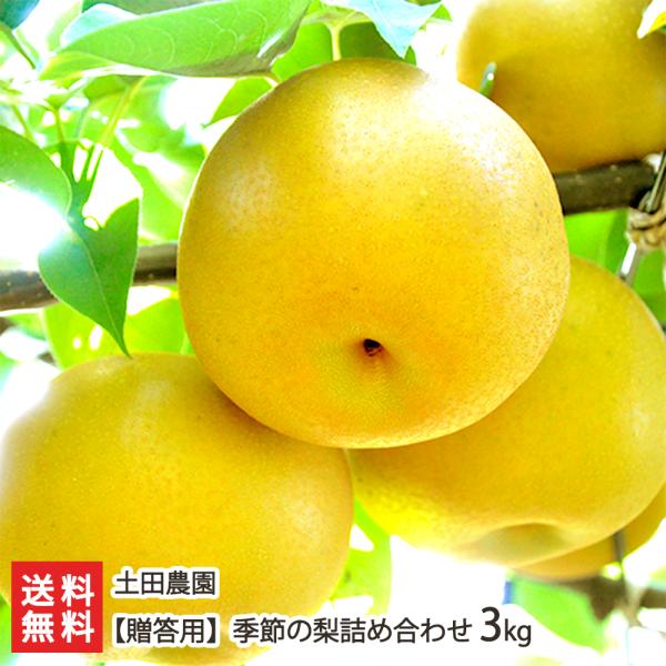 【発売日：2026年08月07日】三条市にある梨専門農家「土田農園」から、「季節の梨詰め合わせ」をご紹介。一つ一つじっくりと樹上完熟することで生み出される甘味は、多くの方から大好評。季節に応じた梨を2品種セットにしました。三条市にある梨専門...