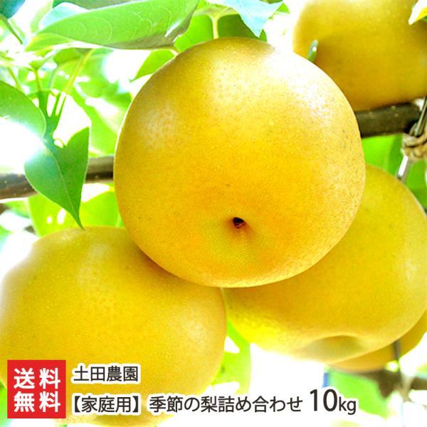 【発売日：2026年08月07日】三条市にある梨専門農家「土田農園」から、「季節の梨詰め合わせ」をご紹介。一つ一つじっくりと樹上完熟することで生み出される甘味は、多くの方から大好評。季節に応じた梨を2品種セットにしました。三条市にある梨専門...