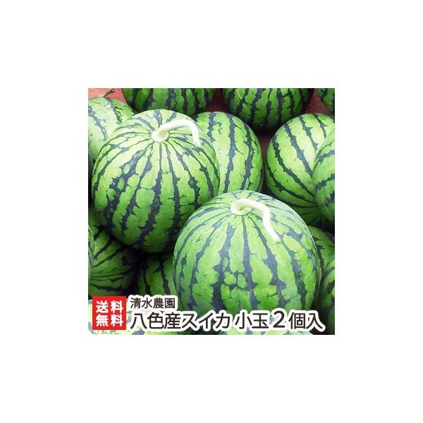 【発売日：2026年07月07日】ハズレなし！甘みをたっぷり含んだ南魚沼 八色産スイカ。市販ではなかなか手に入りません！八色産スイカは、小玉・大玉から選べます。そんじょそこらのスイカとは格が違います。減農薬・有機肥料！大自然と綺麗な水に恵ま...