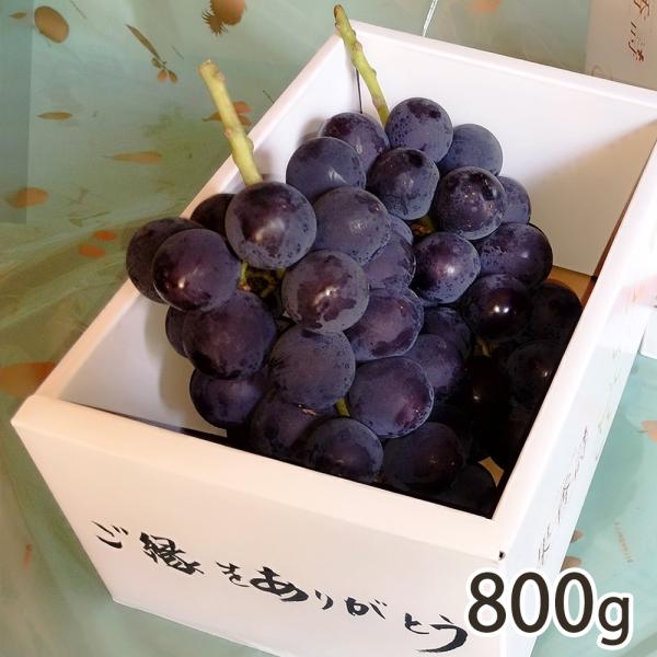 【発売日：2026年08月07日】甘みと酸味のバランスが整った、こだわりの「種なし」巨峰。「味が濃い」のが特徴です！日持ちするので、贈答用にもおすすめです。肥沃で水質に恵まれた土壌で育つ自慢の巨峰。ニワトリを平飼いにすることで微生物が活性化...