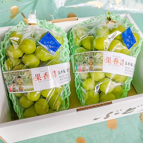 【発売日：2025年08月17日】存在感ある粒の大きさ！頬張れば口に広がる、濃厚な甘みと弾ける爽やかな果汁！美しい逆三角形が魅力の果香詩さんの「シャインマスカット」をご紹介します。 贈答としても喜ばれる人気の商品です。江戸時代から代々お米や...