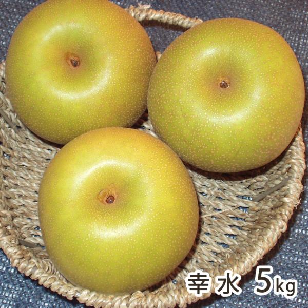 【発売日：2026年08月07日】こだわりは「樹上完熟」。環境と人に優しい梨作りを目指し、できる限り農薬使用量を抑えて栽培されています。樋口農園は、信濃川の恵みを受ける加茂市の梨農家。安心して食べられる作物を育てるため、できる限り農薬使用量...
