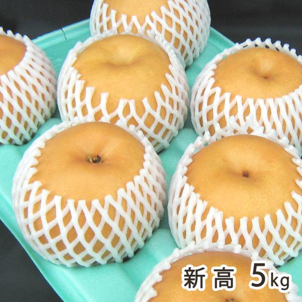 【発売日：2026年09月27日】こだわりは「樹上完熟」。環境と人に優しい梨作りを目指し、できる限り農薬使用量を抑えて栽培されています。樋口農園は、信濃川の恵みを受ける加茂市の梨農家。安心して食べられる作物を育てるため、できる限り農薬使用量...