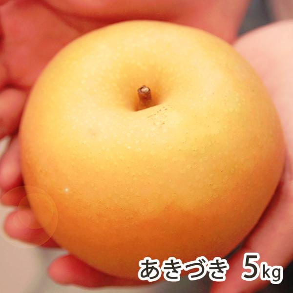 【発売日：2026年09月07日】こだわりは「樹上完熟」。環境と人に優しい梨作りを目指し、できる限り農薬使用量を抑えて栽培されています。樋口農園は、信濃川の恵みを受ける加茂市の梨農家。安心して食べられる作物を育てるため、できる限り農薬使用量...