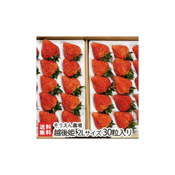 【発売日：2026年02月17日】新潟ブランド苺「越後姫」を採れたて完熟でお届けします。サイズは形の良い「2Lサイズ」の大粒苺のみを厳選！冷蔵便にて発送いたしますので鮮度は抜群です！収穫量に限りがありますので、ご注文はお早めに！お中元・お歳...