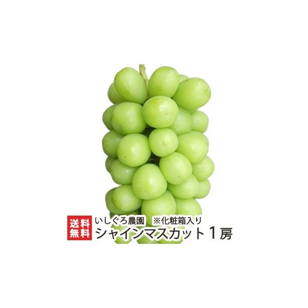 【発売日：2026年08月07日】農林水産大臣賞ぶどう部門「最優秀賞」を受賞した、いしぐろ農園自慢のシャインマスカット！お中元・お歳暮・お年賀・母の日・父の日・お祝い・内祝い・贈り物・ギフト・プレゼントにも！
