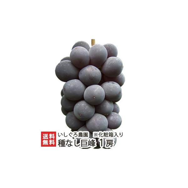 【発売日：2026年08月07日】農林水産大臣賞ぶどう部門「最優秀賞」を受賞した、いしぐろ農園自慢の種なし巨峰！お中元・お歳暮・お年賀・母の日・父の日・お祝い・内祝い・贈り物・ギフト・プレゼントにも！