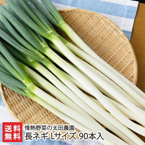 【発売日：2026年07月28日】情熱野菜の太田農園から、真っ白でやわらかい「夏のはくちょうねぎ」をご紹介します。手にとってみるとわかる、身の締り具合。火を通せば甘味が出て、とろりとした食感に。料理の主役になる満足感です！新潟市西区の砂丘地...