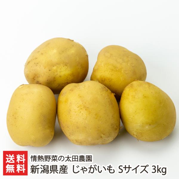 【発売日：2026年06月07日】太田農園のじゃがいもは、砂丘地でのびのびと育てた一品。なめらかな舌触りと、やさしい甘さが美味しいと大好評です。じゃがバターや甘露煮はもちろん、煮崩れしにくく、カレー・肉じゃがにもおすすめ！新潟市西区の「情熱...