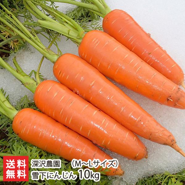 【発売日：2026年03月07日】厳しい冬の寒さを乗り越えた、甘みたっぷり魚沼産の雪下にんじん！えぐみが抑えられるので、ニンジン嫌いの方でも食べやすいです！天然の雪の下で寒い冬を乗り越え、みずみずしく、にんじん本来の甘味や旨味、香りを味わい...