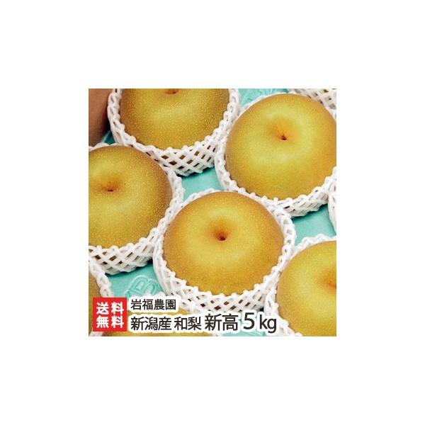 【発売日：2026年09月27日】「予約商品の入荷予定時期」及び「発売予定日」は、発送開始時期の目安です。予定時期より受付順に発送となりますこと、予めご了承ください。有機肥料を使った土づくりと長年の経験により品種ごとのうまみを最大限に引き出...