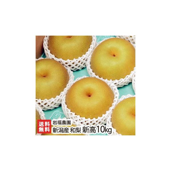 【発売日：2026年09月27日】「予約商品の入荷予定時期」及び「発売予定日」は、発送開始時期の目安です。予定時期より受付順に発送となりますこと、予めご了承ください。有機肥料を使った土づくりと長年の経験により品種ごとのうまみを最大限に引き出...