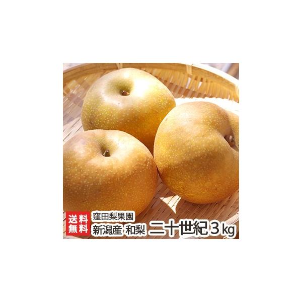 【発売日：2026年08月28日】「予約商品の入荷予定時期」及び「発売予定日」は、発送開始時期の目安です。予定時期より受付順に発送となりますこと、予めご了承ください。江戸時代から栽培が始まった県内屈指の産地から直送！ホテルや百貨店から注文が...