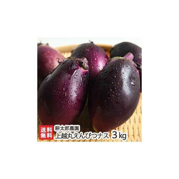 【発売日：2026年07月07日】上越市の農家3軒のみで栽培される希少な上越丸えんぴつナスを産地直送！アクが少なく甘くてみずみずしい味わいが魅力！焼いても、揚げても、煮ても美味しい絶品のナスをお楽しみください。