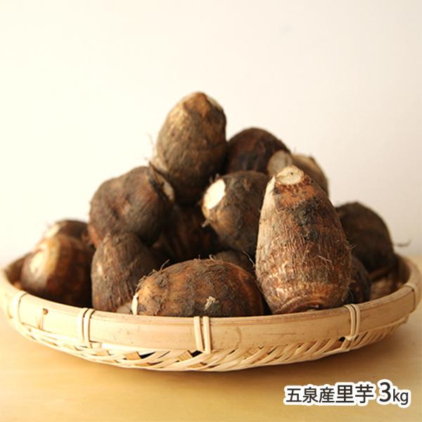 【発売日：2025年10月17日】県内一の生産量を誇る特産地・五泉市のベテラン農家が育てた里芋です。大玉の秀品のみを選別しました。ねっとり食感となめらかな舌触りが楽しめる里芋は、新潟の郷土料理「のっぺ」にもぴったり！五泉市のベテラン農家・せ...