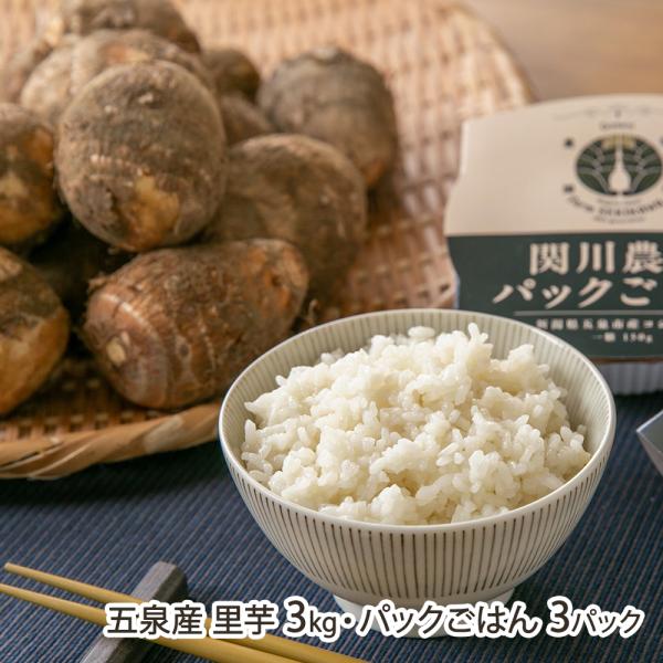 肥沃な土壌が育んだ濃厚な旨味の里芋と、もちもち食感の従来品種コシヒカリのパックごはんのセット。里芋は煮物やグラタンなどの料理に、パックごはんは少量食べたいときや非常時の備えにも重宝しますよ。五泉市のせきかわ農園から、里芋とパックごはんのセッ...