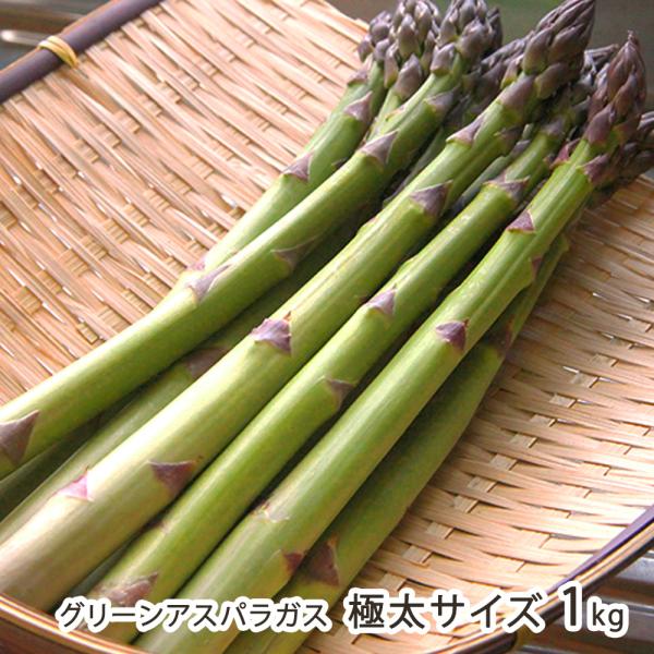 【発売日：2026年04月17日】新鮮な極太アスパラガスを産地直送！肥料にこだわることで引き出された甘さは子供からも大好評！根本まで柔らかいので1本丸ごとご賞味ください。新潟県の中央に位置する見附市で農業を営む「農事組合法人 ファーム小栗山...