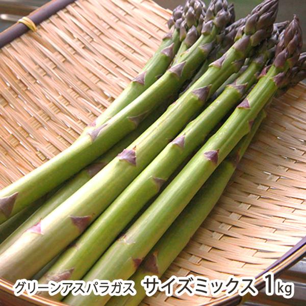 【発売日：2026年04月17日】新鮮な極太アスパラガスを産地直送！肥料にこだわることで引き出された甘さは子供からも大好評！根本まで柔らかいので1本丸ごとご賞味ください。新潟県の中央に位置する見附市で農業を営む「農事組合法人 ファーム小栗山...