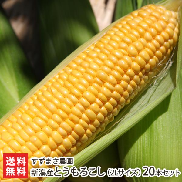 【発売日：2026年06月17日】甘くてジューシーなスイートコーンを朝採りでお届け！生でも食べられるので、まずはフレッシュな旨みを堪能し、その後は加熱して濃厚な甘さをお楽しみください。お中元や暑中見舞にもおすすめ！新潟市西区の砂丘地でたくさ...