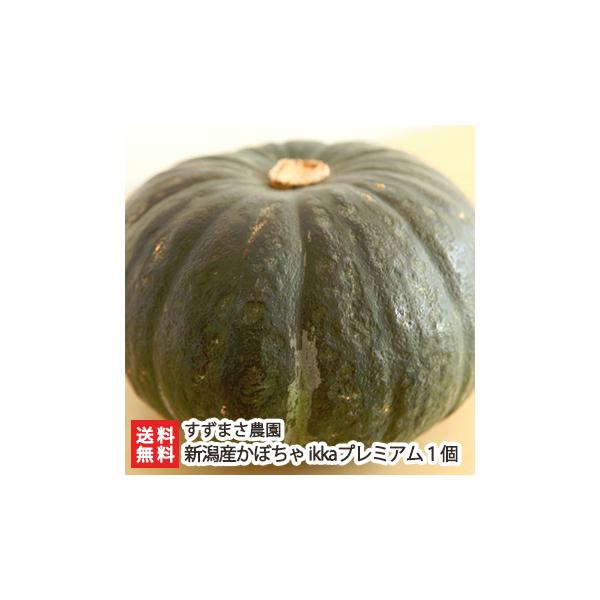【発売日：2026年01月07日】一つの株に一つの実だけを栽培したプレミアムな「かぼちゃ」が誕生！完熟で収穫後、じっくりと追熟させて濃厚な甘さを引き出しました。ソテーや煮物・サラダなど、お好みの調理方法でお楽しみください♪平均糖度20度！一...
