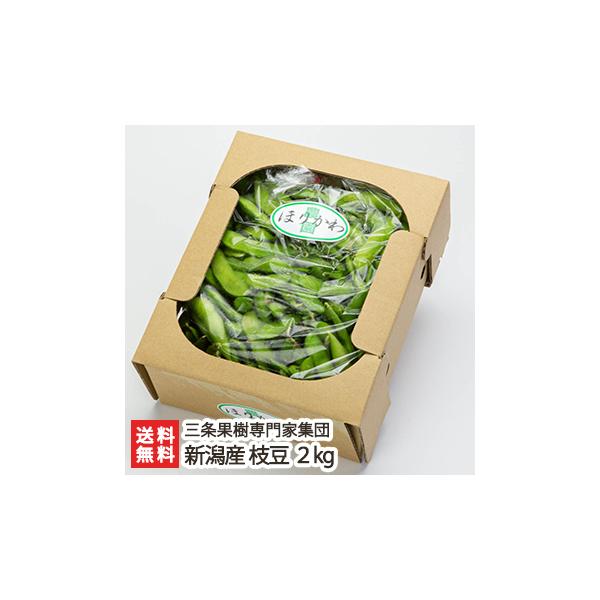 【発売日：2026年06月17日】肥沃な土壌で栽培した枝豆は、栄養がギュッと詰まって風味抜群。じっくり観察しながら管理することで、見た目もよく、しっかりした味わいに育てました。プロの生産者が集う「三条果樹専門家集団」の一員、堀川農園の枝豆で...