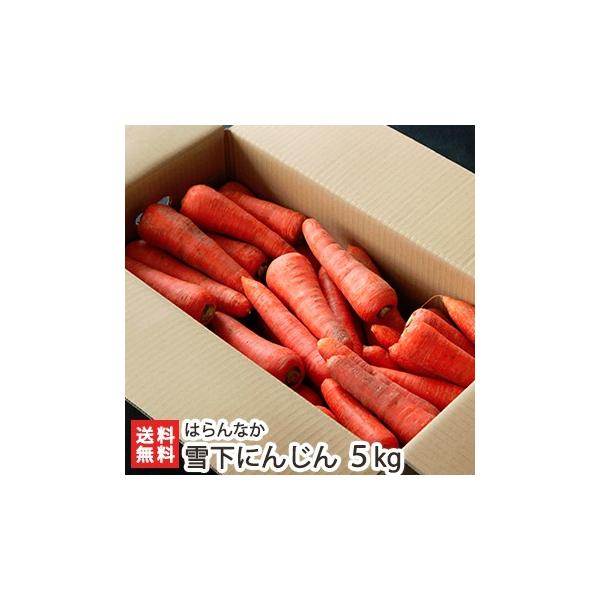 【発売日：2026年03月17日】日本有数の豪雪地帯、魚沼津南町で採れた雪下にんじん！厳しい自然環境の中、完全無農薬栽培でフルーツのような甘みを引き出しました！雪下にんじんは、にんじん自らが雪の下での凍結を防ぐため、アミノ酸を増やします。そ...