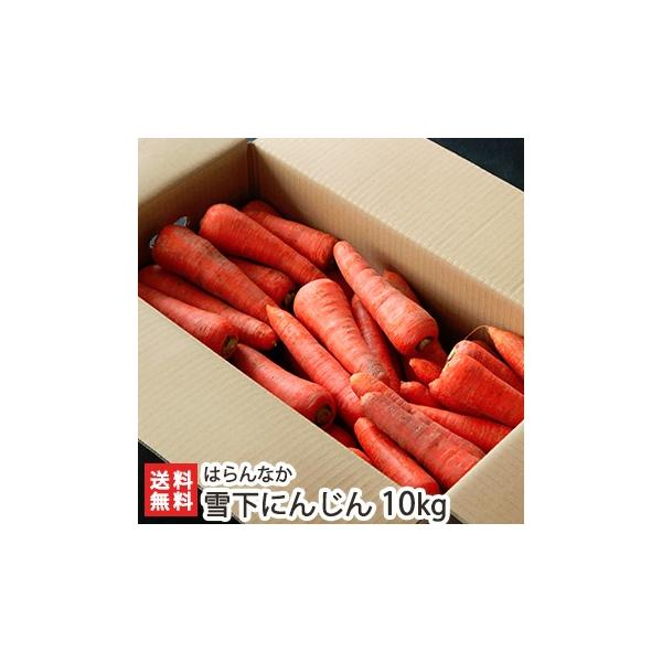 【発売日：2026年03月17日】日本有数の豪雪地帯、魚沼津南町で採れた雪下にんじん！厳しい自然環境の中、完全無農薬栽培でフルーツのような甘みを引き出しました！雪下にんじんは、にんじん自らが雪の下での凍結を防ぐため、アミノ酸を増やします。そ...