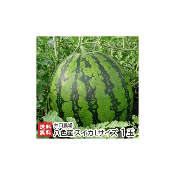 【発売日：2026年07月17日】これぞ八色！日本有数のブランド産地、南魚沼八色原よりとびっきりのピチピチスイカを採れたて発送！糖度抜群、甘くてシャリシャリの食感は、一度食べたら忘れられません。今年のお中元はこれで決まり！新潟県南魚沼市八色...